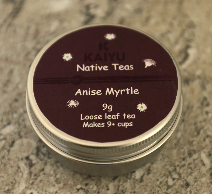Anise Myrtle Tea 9g by Kaiyu – Aboriginal Bush Traders