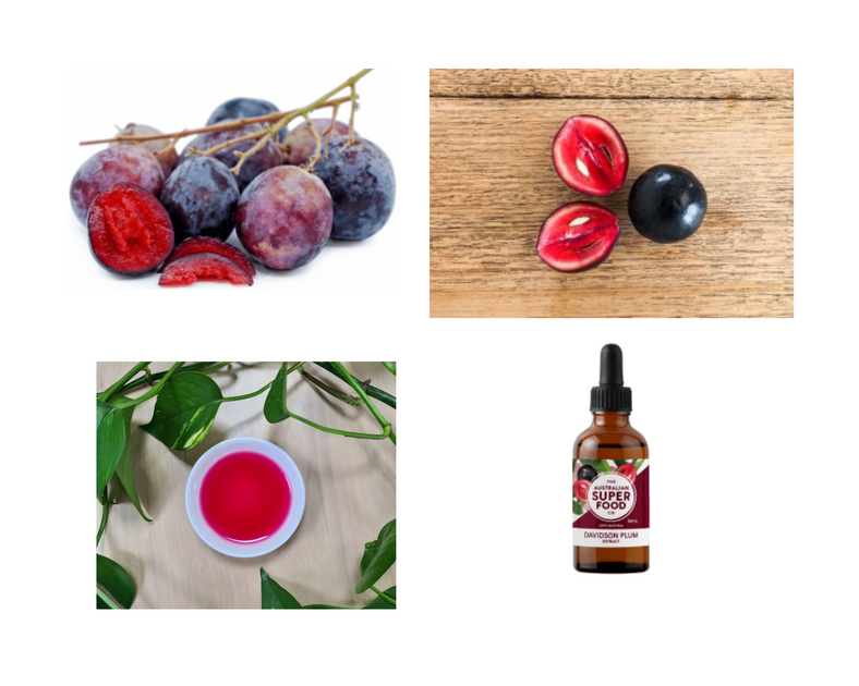 Davidson Plum Extract 50ml By Australian Super Food Co – Aboriginal ...